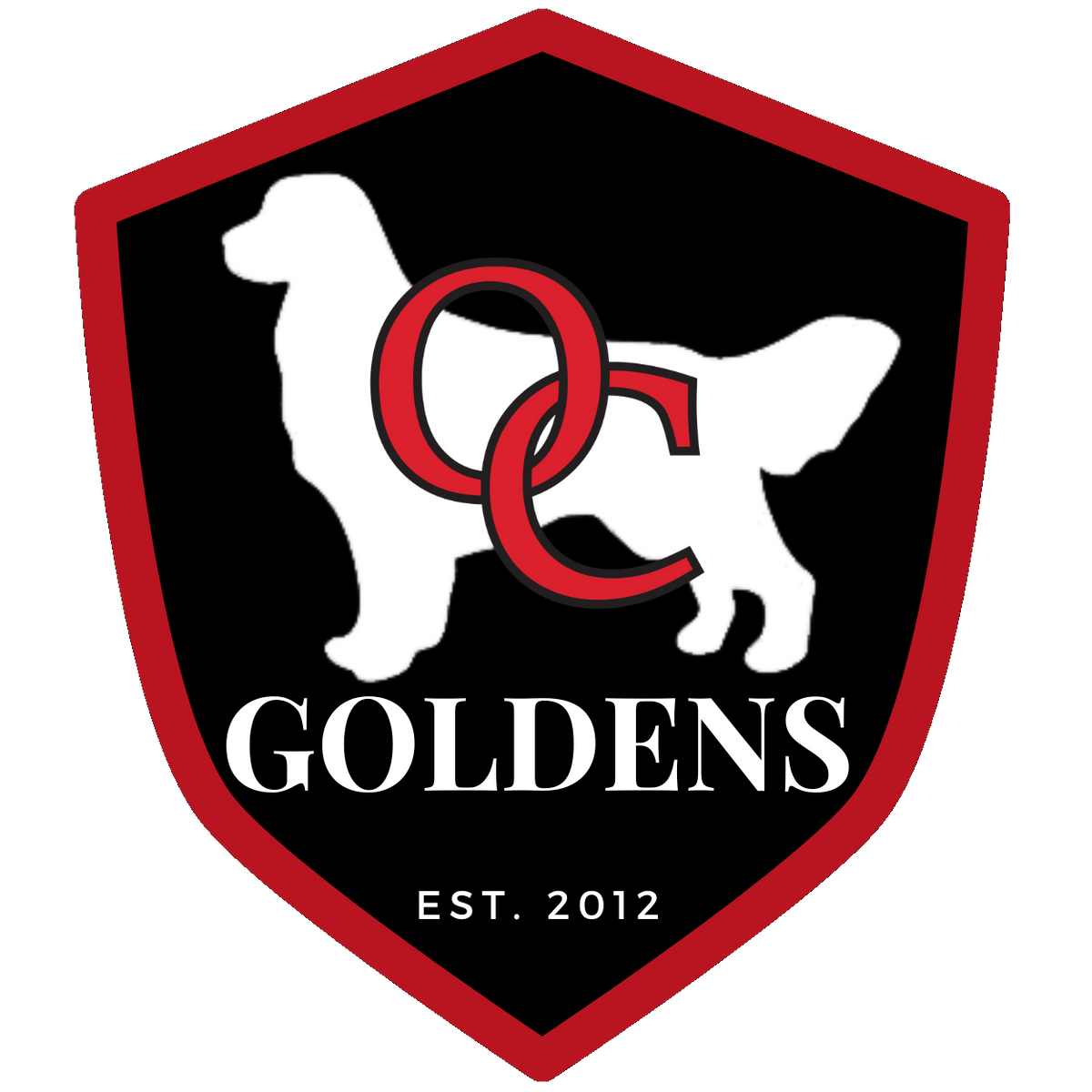 OC Goldens: English Cream Golden Retriever Puppies Available